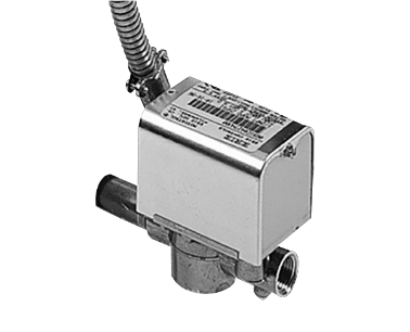 EliteSteam Auto Drain 240V - EliteSteam
